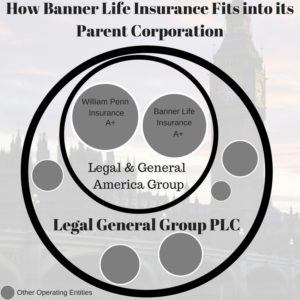 Banner Life Insurance Company - Whole Vs Term Life